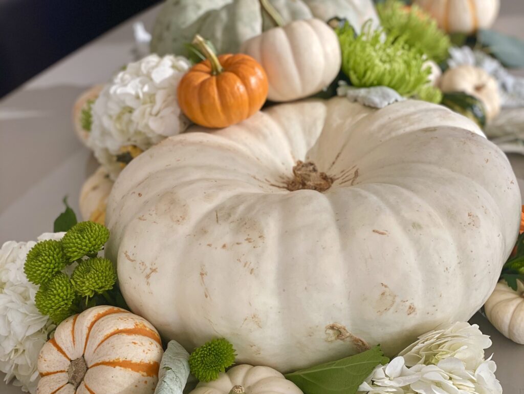 OH MY GOURD, PUMPKINS! - Sonder/Sway